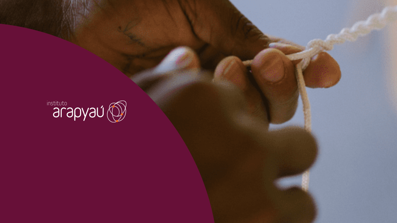 Plataforma Conjunta | Programa de Fellows