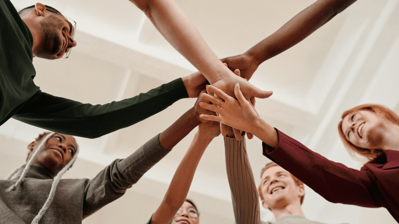 Plataforma Conjunta | O que é Holocracia?